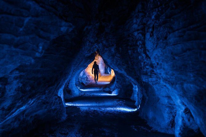 90-Minute Guided Ruakuri Cave Tour Waitomo - Why the Ruakuri Cave Tour Excels