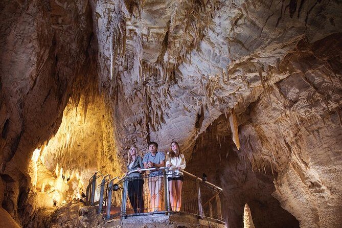 90-Minute Guided Ruakuri Cave Tour Waitomo - What Youll Experience and Why it Matters