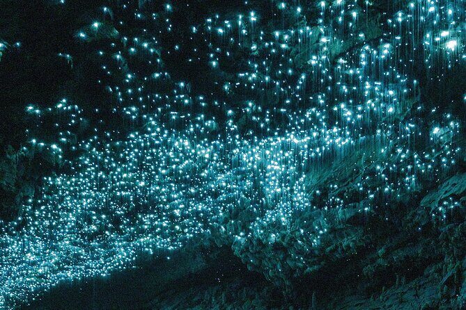 90-Minute Guided Ruakuri Cave Tour Waitomo - The Practical Side: Pricing, Duration, and Group Size