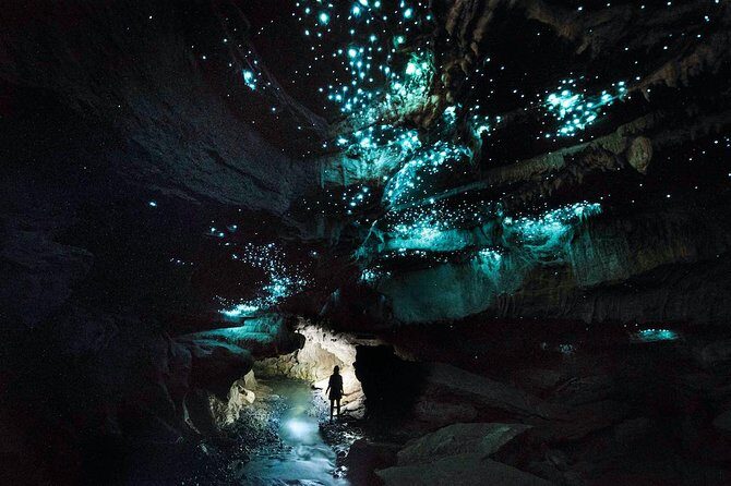 90-Minute Guided Ruakuri Cave Tour Waitomo - Final Thoughts: Who Should Consider This Tour?