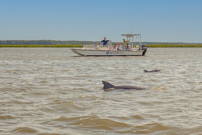 90 Minute Hilton Head Dolphin and Nature Cruise - Who Will Love This Experience?