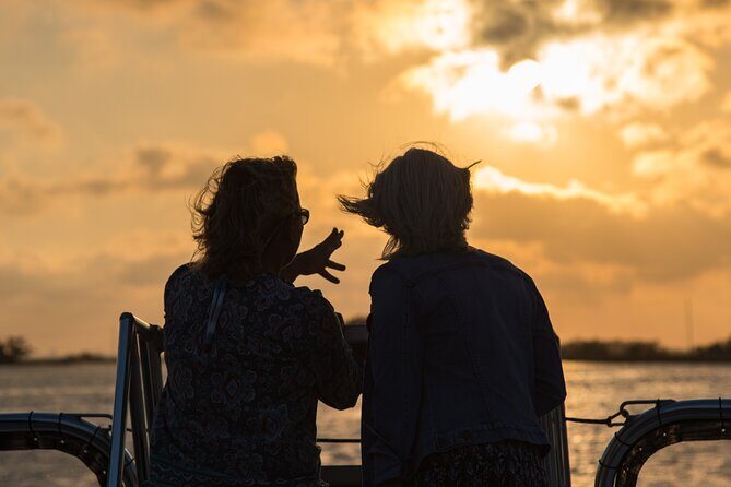 90 minute Hilton Head Sunset Dolphin Cruise - An Impressive Introduction to Hilton Head’s Salt Marshes and Wildlife