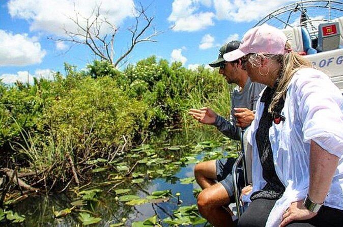 90 Minute Small Group Semi Private Airboat Tour - The Sum Up: Why It’s a Strong Choice