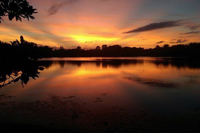 90-Minute Sunset paddle at Secret Lake Guided Kayak Tour in Casselberry - An Authentic Look at the Experience