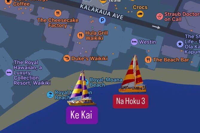 90 Minute Waikiki Turtle Canyon Snorkel - The Sum Up: Why Choose This Snorkel Tour?