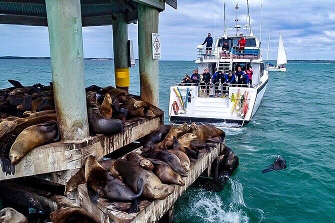 90 minute wildlife and scenic cruise - The Human Element: Guides and Groups