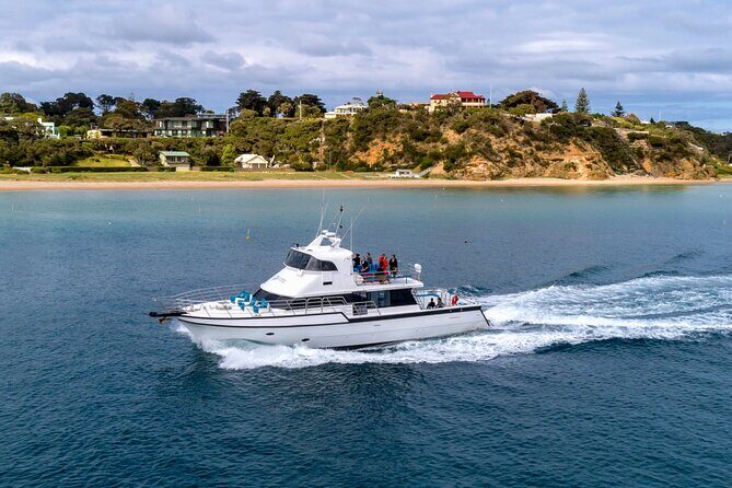 90 minute wildlife and scenic cruise - Is It Worth the Cost?
