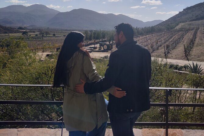 $99 Valle de Guadalupe Wine Tours - DayTrip to baja from San Diego - Who Is This Tour Best For?