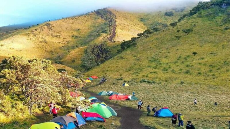 A 2D1N Camping Hike and Tour of Mt. Merbabu and Borobudur - Authentic Experiences and Local Interactions