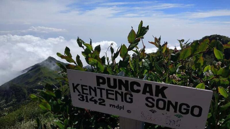 A 2D1N Camping Hike and Tour of Mt. Merbabu and Borobudur - The Sum Up