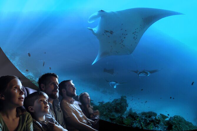 A 360° Immersive Ocean Movie Experience (Catalina Island) - What Is the Experience Like?