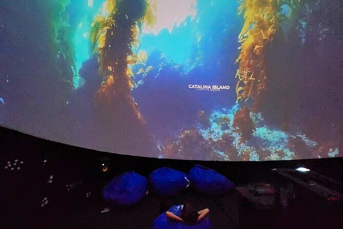 A 360° Immersive Ocean Movie Experience (Catalina Island) - The Itinerary Breakdown