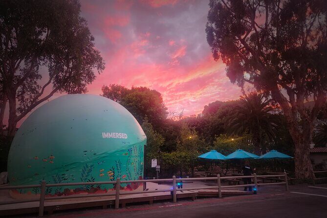 A 360° Immersive Ocean Movie Experience (Catalina Island) - The Value of the Experience