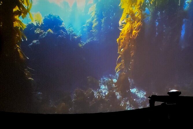 A 360° Immersive Ocean Movie Experience (Catalina Island) - Practical Tips for Visitors