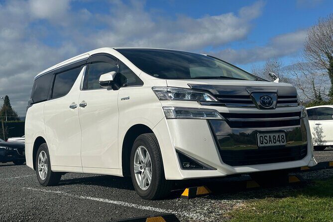 A 5 Hour Private City Highlights: Unveiling Auckland's Treasures - Exploring Auckland in Just a Few Hours: What to Expect
