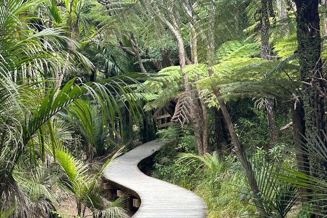 A 5 Hour Private City Highlights: Unveiling Auckland's Treasures - FAQs