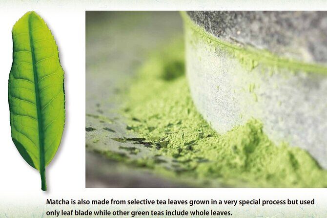 A 90 min. Tea ceremony Workshop In The Authentic Tea Room - FAQ