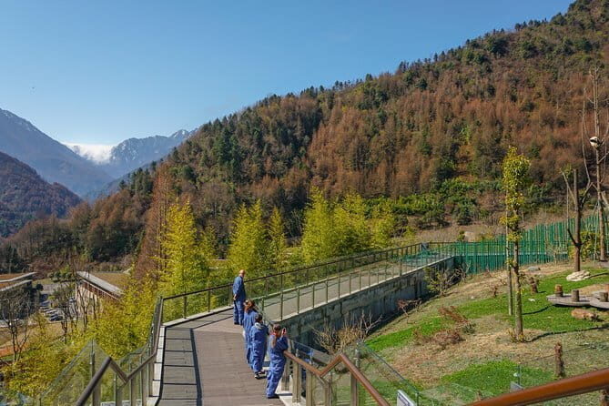a better Panda Volunteer Experience at the Best panda base - WOLONG - The Location and Setting: Why WOLONG Matters
