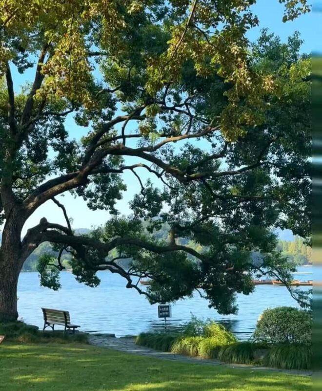 A classic half-day cruise on West Lake - Time for a Traditional Fan-Painting Experience