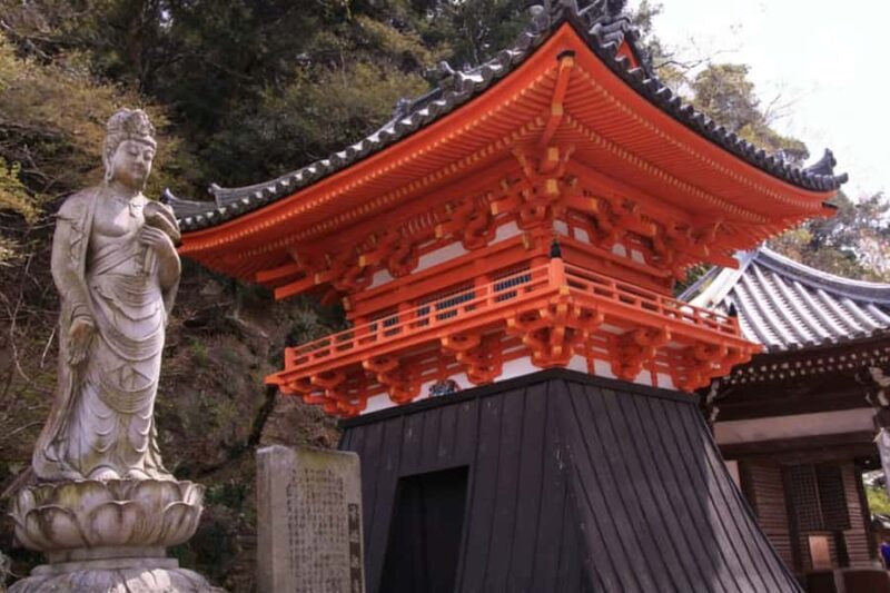 A Classic One-Day Tour from Kansai to Wakayama Prefecture - Who Should Consider This Tour?