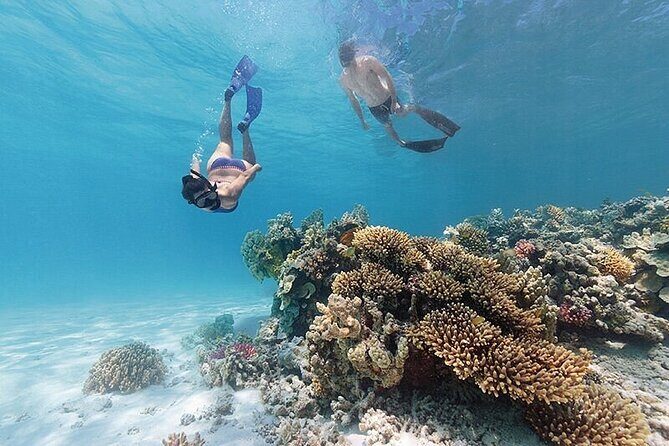 A Cook Islands Turtle Tour - small groups, premium experience - Key Points