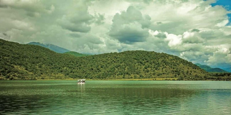A Culinary Journey Through History and Nature - Key Points