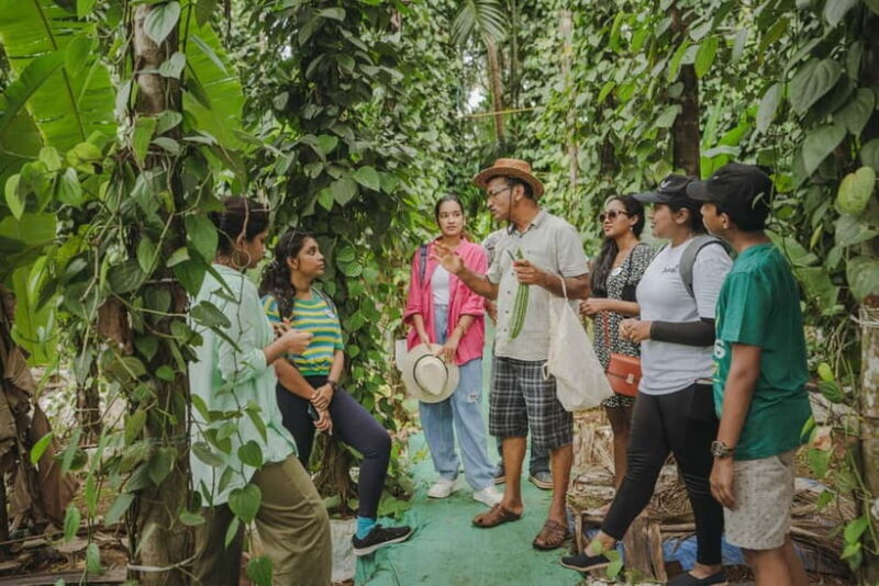 A Culinary Journey with locals in Chorao Island - A Practical and Authentic Look at the Tour