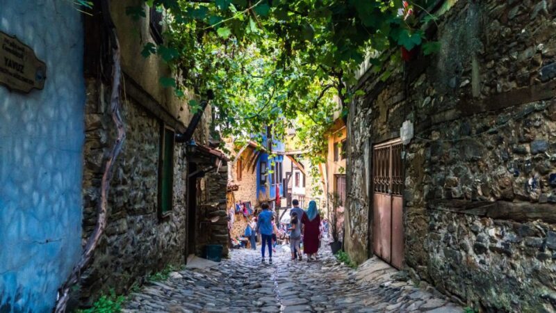 A Cultural Odyssey: Exploring the Heart of Busra - Key Points