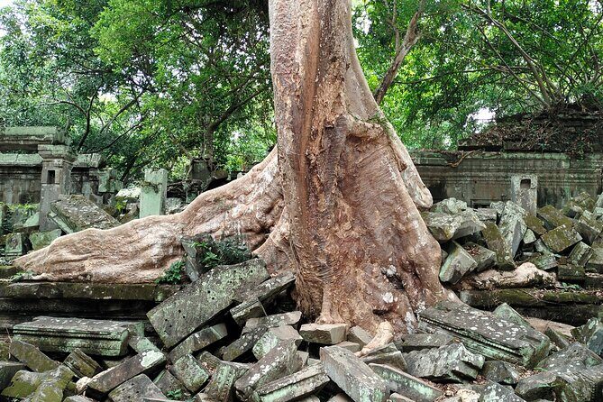 A Day Angkor Wat Sunrise Tour, Ta Prohm & Hidden Gems Beng Mealea - The Sum Up