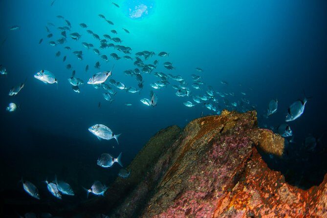 A day at the beach and diving - Final Thoughts: Is It Worth It?