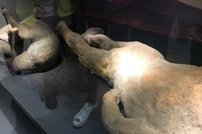 A Day at the Museum - Natural History Museum London - A Deep Dive into the Experience