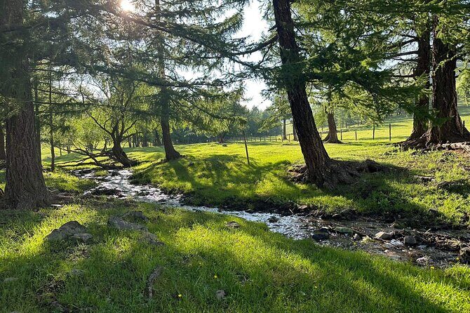 A Day Authentic Mongolian Trip near Ulaanbaatar all-inclusive - Key Points