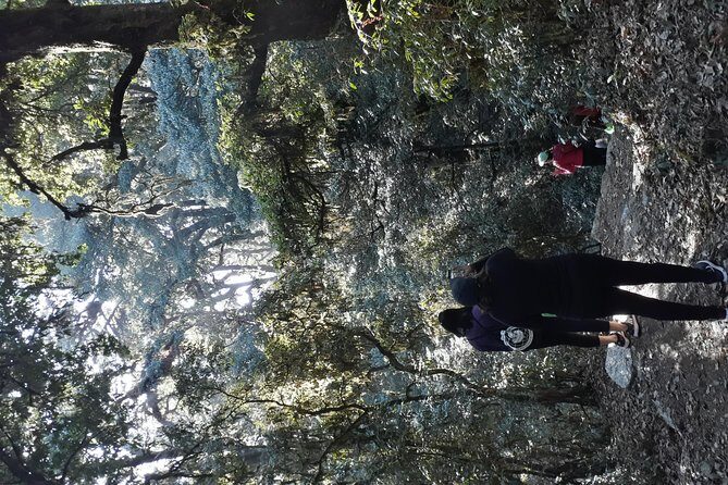 A day hike from Kathmandu to Bagadwaar - Final Thoughts: The Value and Unique Appeal