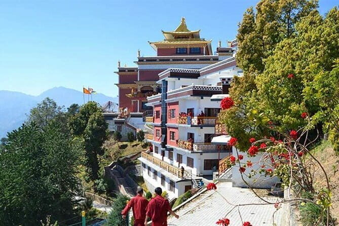 A Day Hiking from Kathmandu to Phulchowki Hill - The Sum Up: Who Should Consider This Tour?