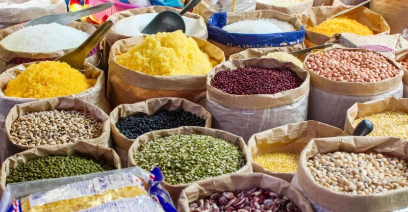 A Day in Munnar: Nature, Culture, and Local Flavor - Final Thoughts