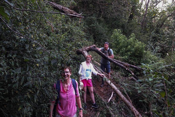 A Day in Nuwara Eliya: Sights & Local Delights - What to Expect from the Tour