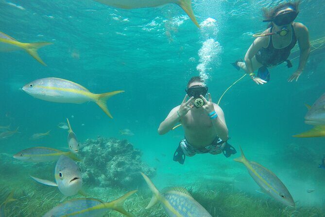 A Day in Paradise All In One Punta Cana Experience - FAQs