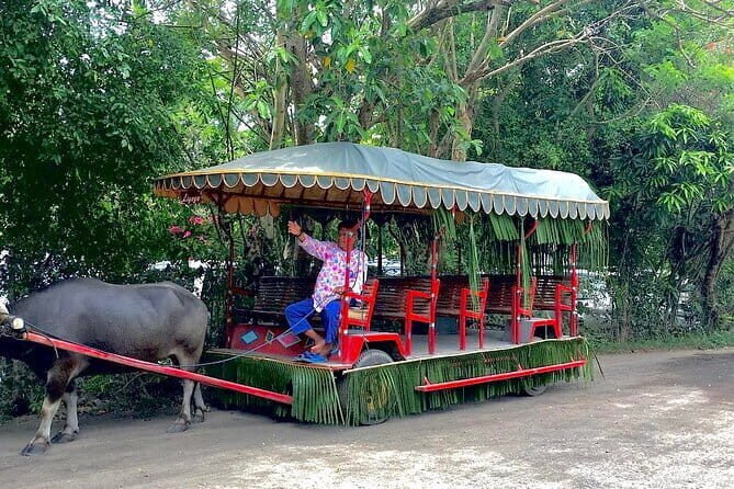 A Day in Paradise at Villa Escudero Coconut Plantation Adventure - A Complete Guide to the Villa Escudero Coconut Plantation Adventure