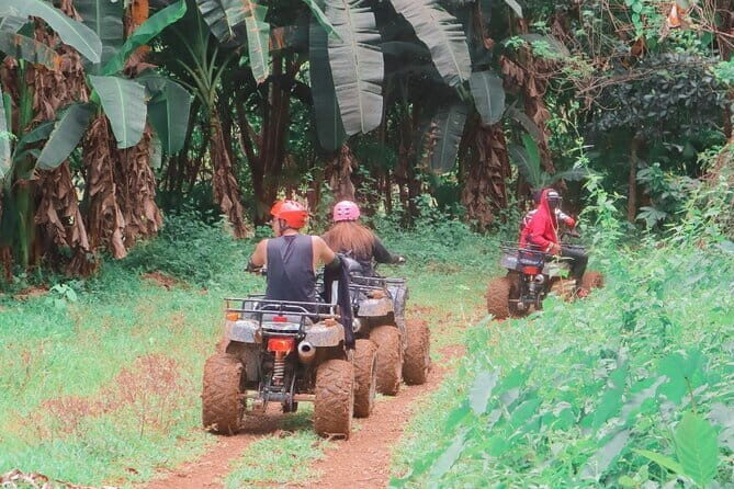 A Day in Paradise at Villa Escudero Coconut Plantation Adventure - Final Thoughts: Who Will Love This Tour?