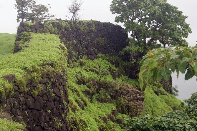 A Day in the Countryside Around Mumbai - FAQs