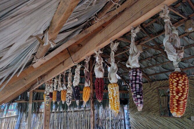 a day in the life of a Zapotec village - An In-Depth Look at the Experience
