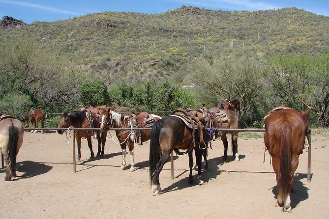 A Day In The Old West Adventure including Horseback Ride and Cowboy Lunch - Final Thoughts