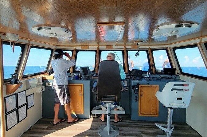 A Day on the Bay - Who Will Love This Tour?