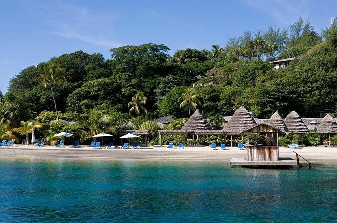 A Day Over Young Island - Authentic Experiences and Traveler Feedback