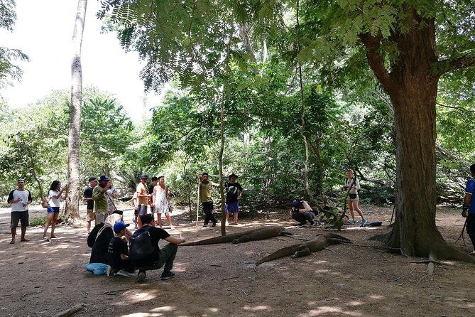A Day to Komodo Island - What Does the Tour Mean for You?