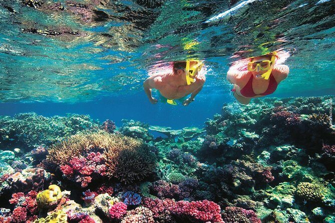 A Day to Komodo Island - Final Thoughts