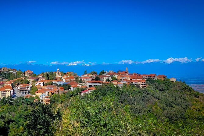 A day tour to Kakheti region/wine/culture/history and gastro tour - An In-Depth Look at the Kakheti Private Tour