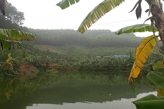 A Day Trekking in Sapa - The Journey Through Sapa’s Villages and Landscapes