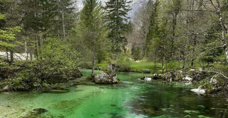 A day trip from Ljubljana: Magical nature and lake Bohinj - Logistics and Practicalities