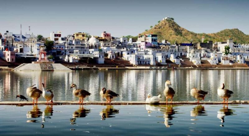 A Day Trip of Pushkar From Jaipur - Accessibility and Language